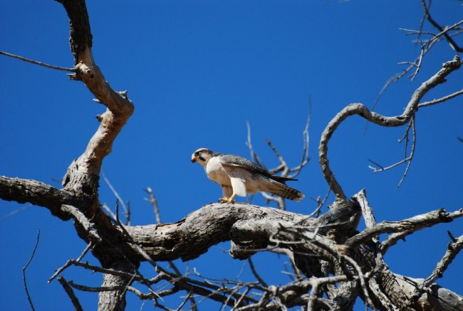 Zimbabwe through the Lens - Hills of Africa