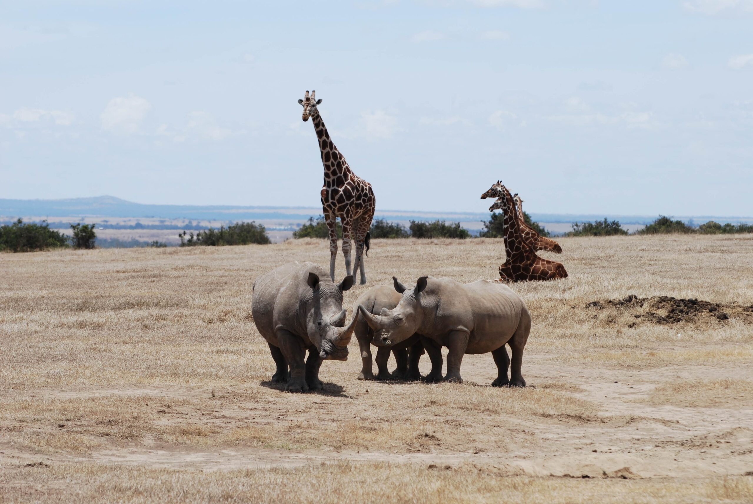 Kenya - Hills of Africa