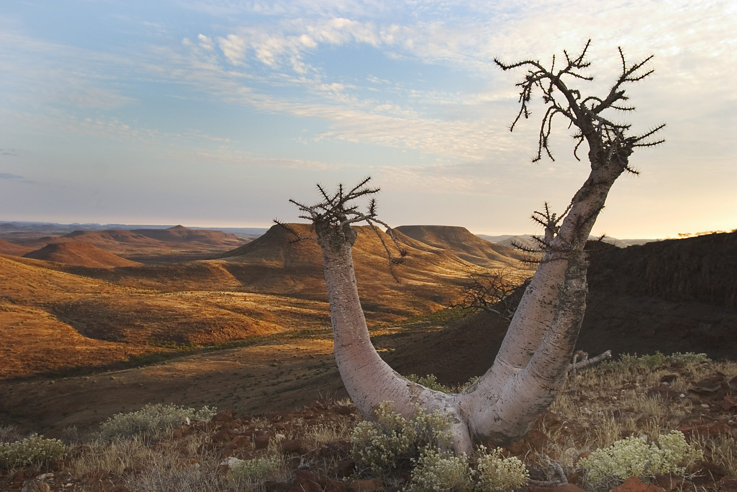 Namibia - Hills of Africa