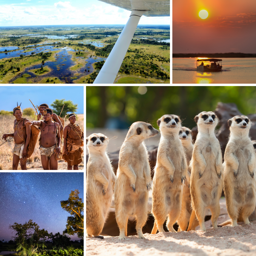 Our Top 10 Ways to Experience Botswana - Hills of Africa