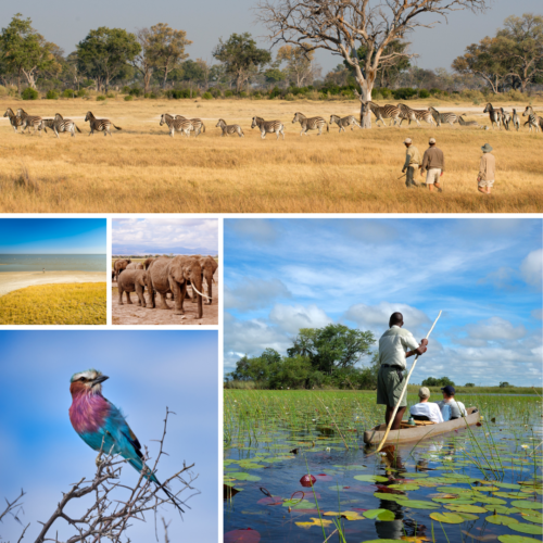 Our Top 10 Ways to Experience Botswana - Hills of Africa
