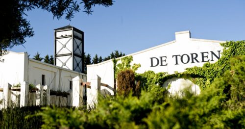 Pam's Top 10 Wine Estates to Visit in the Cape - Hills of Africa