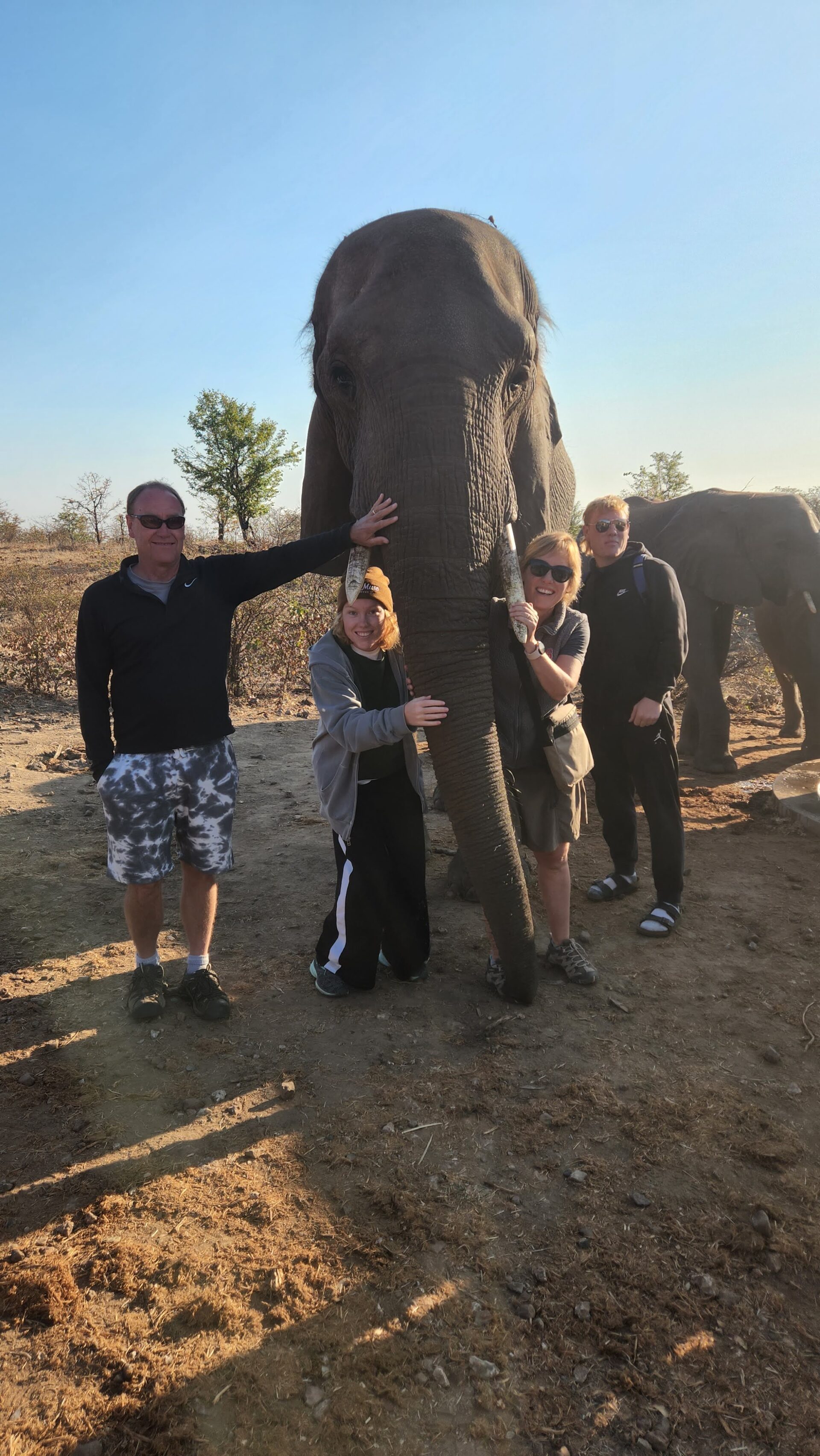 A Once-in-a-Lifetime Encounter at Wild Horizons Elephant Sanctuary ...