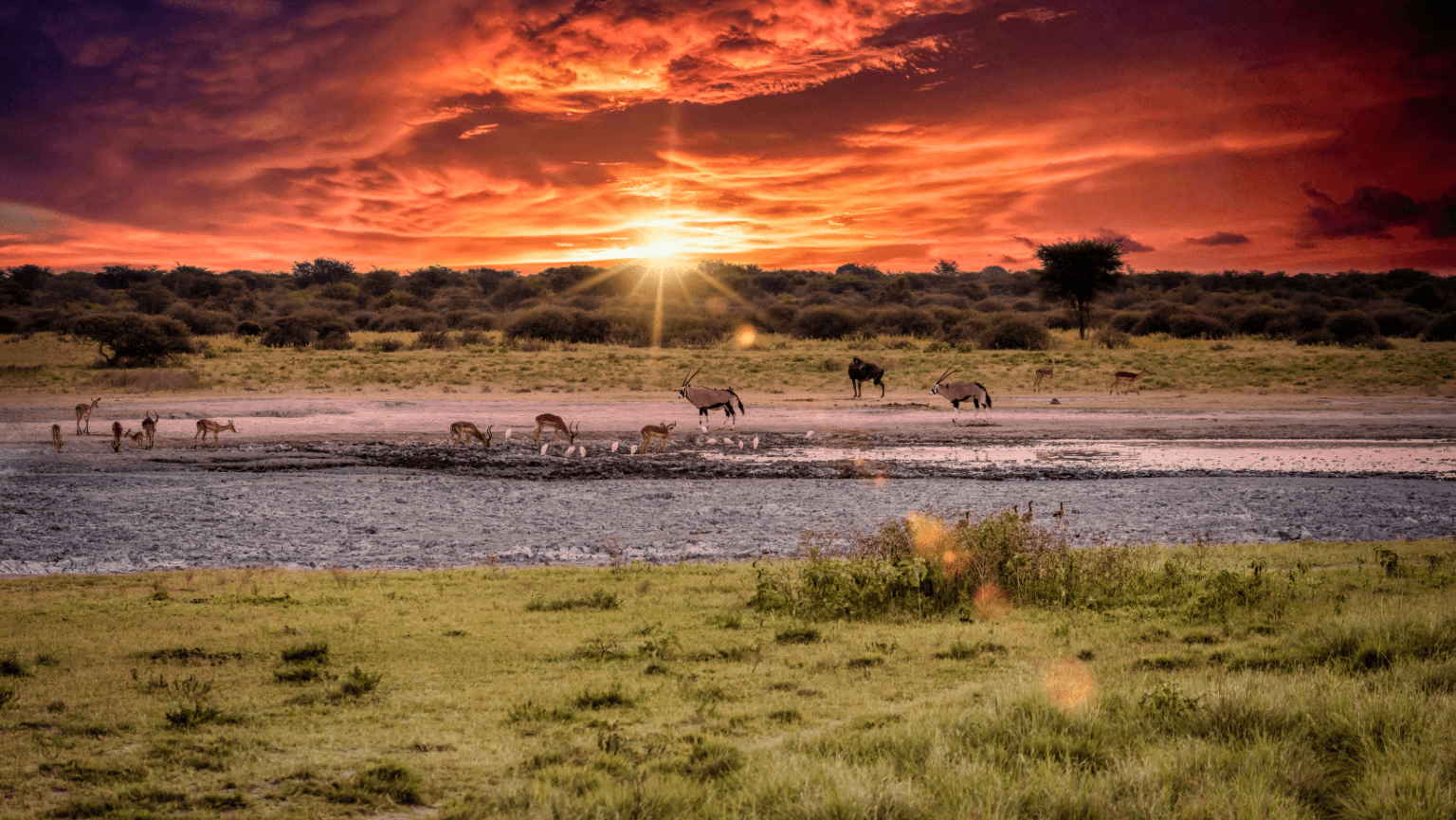 Explore Africa - Hills of Africa