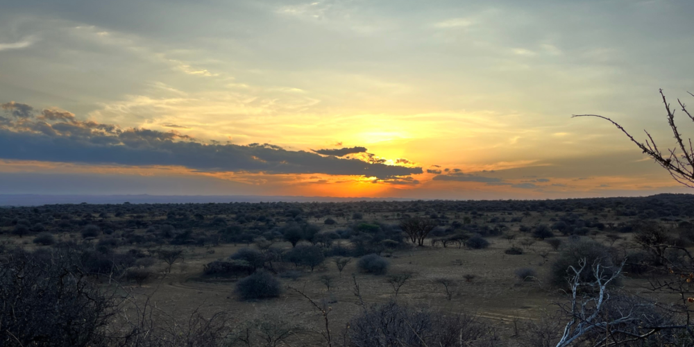4 Unexpected “Delights” in Africa – A First Timers’ Perspective - Hills ...