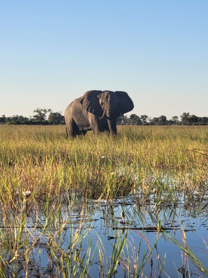 Beautiful Botswana - Part 1 - Hills of Africa