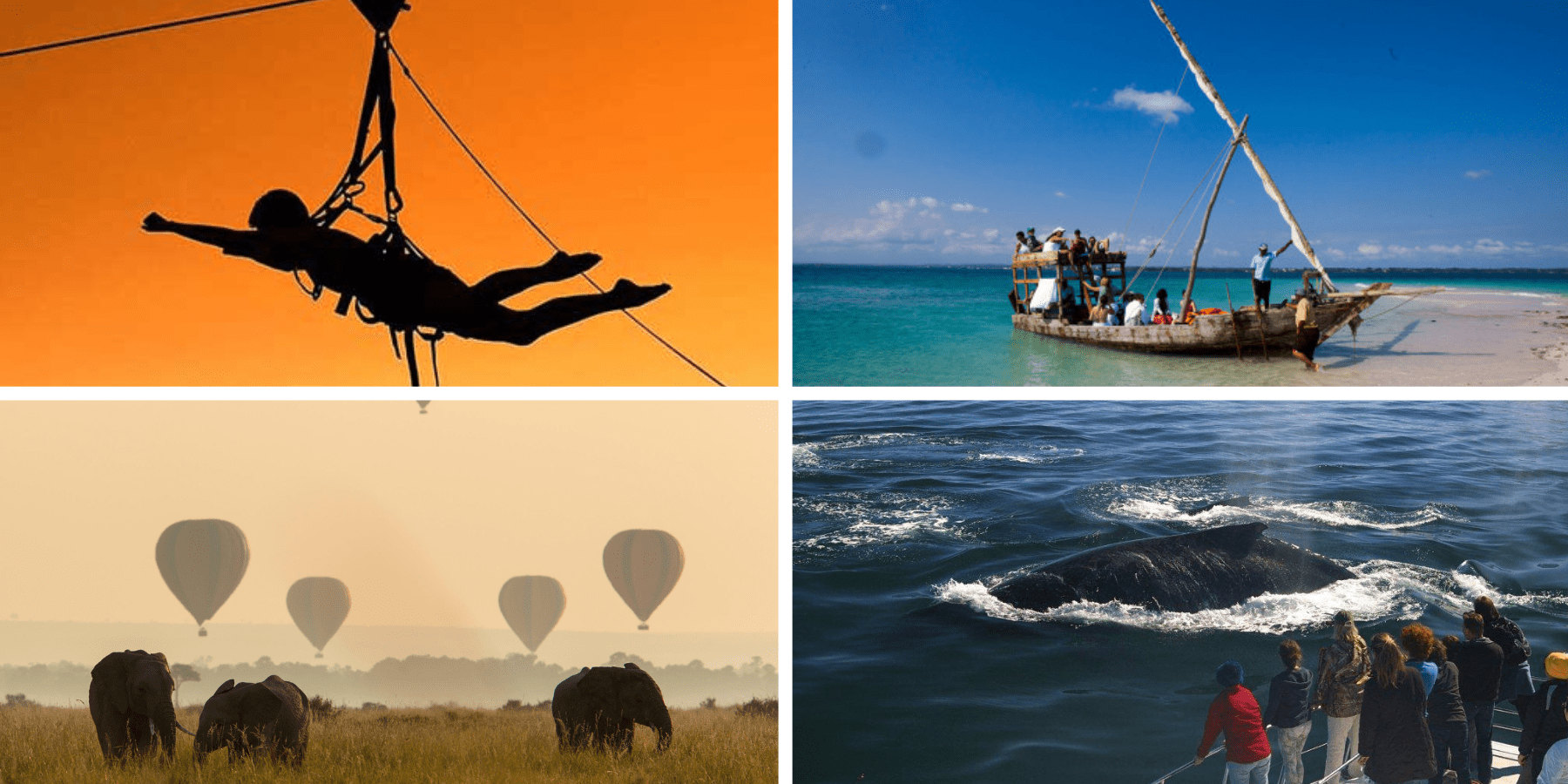 10 Reasons to Fall in Love with Africa - Hills of Africa